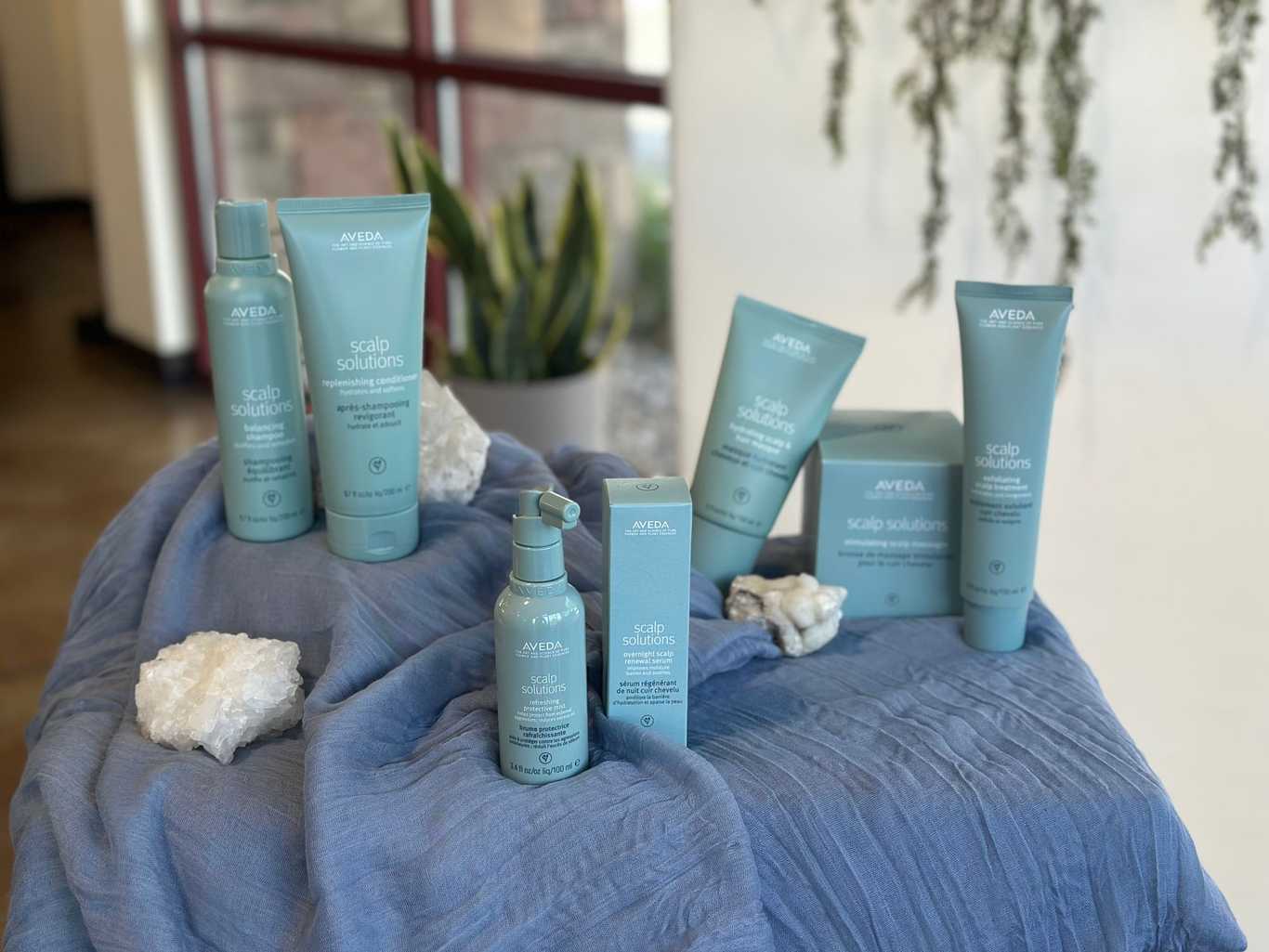 Nurture from the Roots: Aveda’s Scalp Solutions & Grassroots In-Salon ...